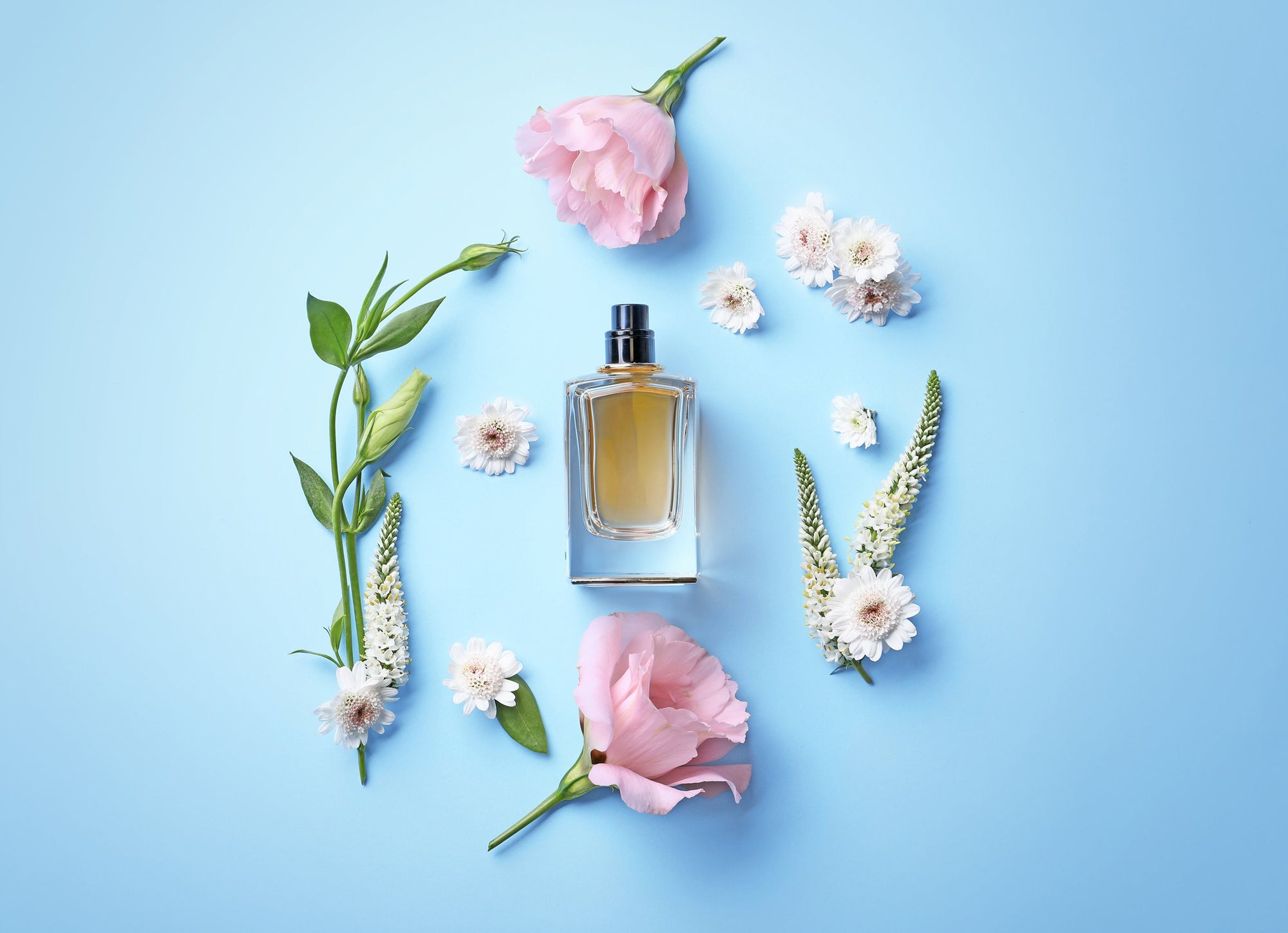 Shop For Women | My Perfume Shop