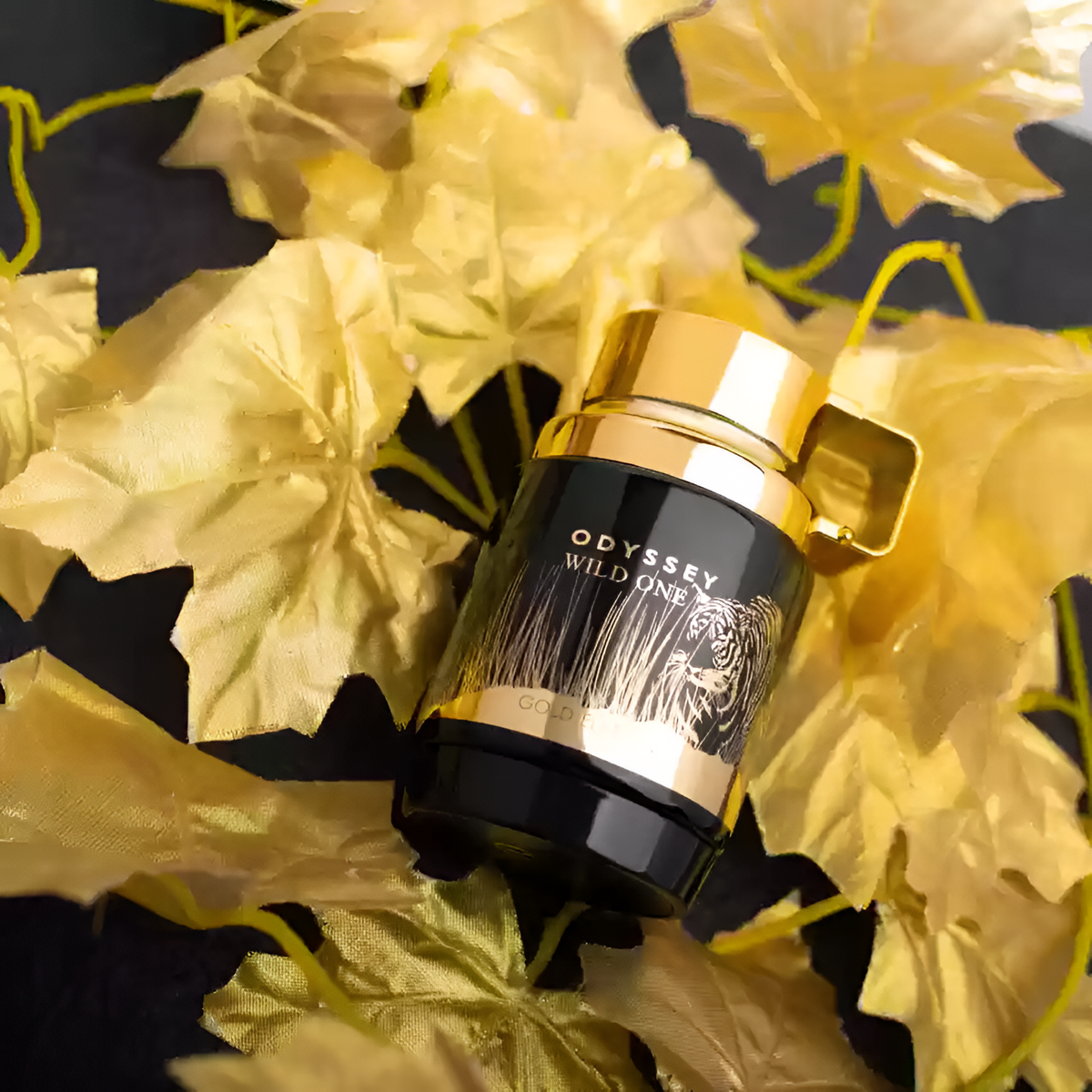 Shop Armaf Odyssey Wild One Gold Edition EDP in Australia