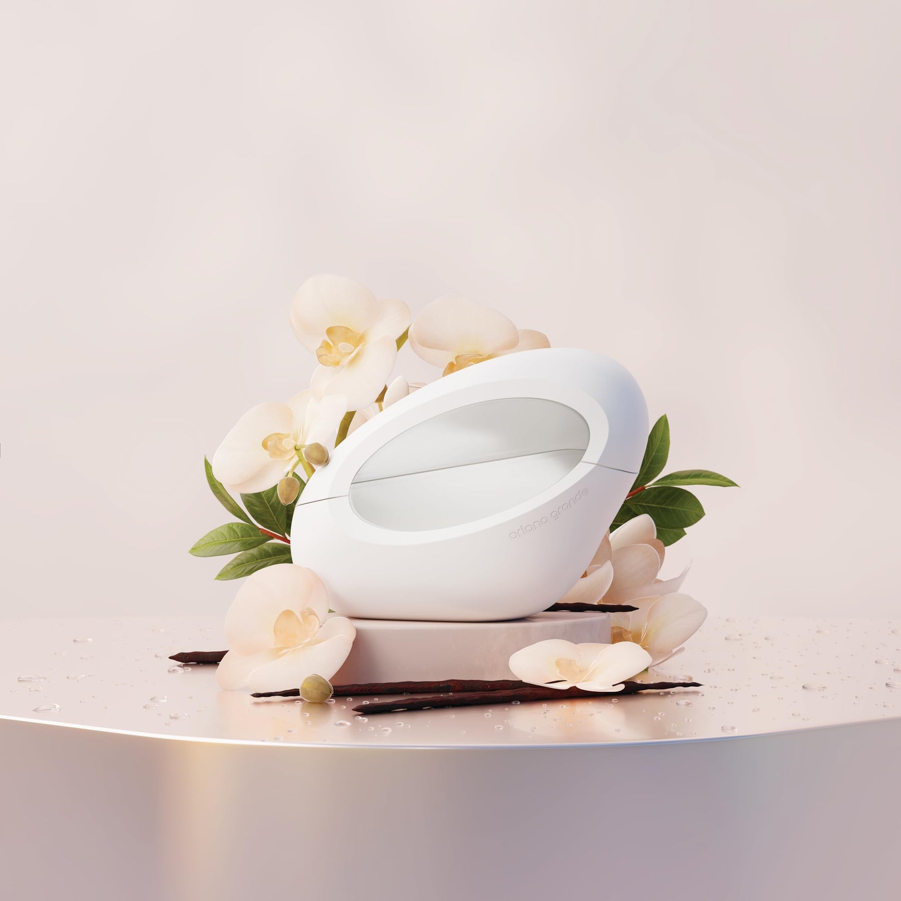 Shop Ariana Grande Mod Vanilla EDP | My Perfume Shop Australia