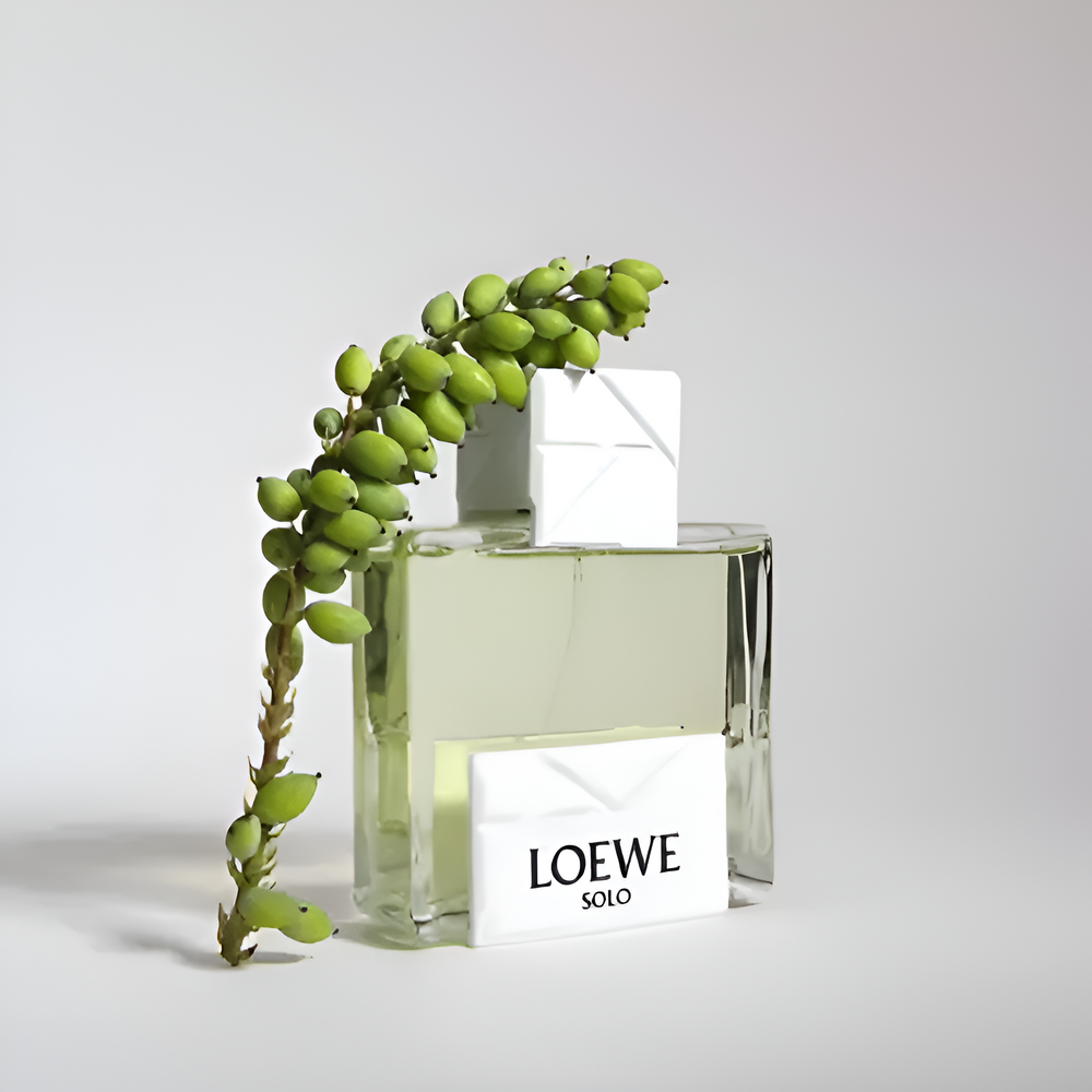 Shop Loewe Solo Loewe Origami EDT | My Perfume Shop Australia