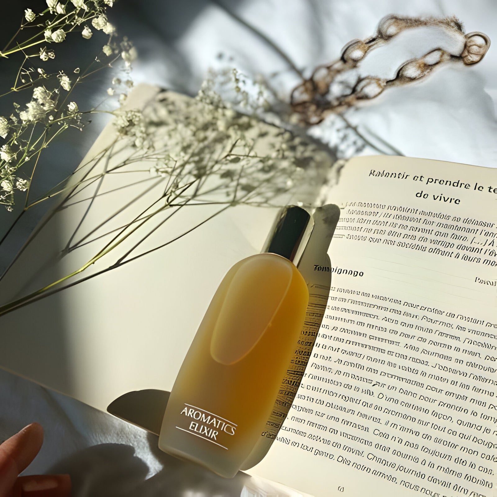 Shop Clinique Aromatics Elixir EDP 100ml | My Perfume Shop Australia
