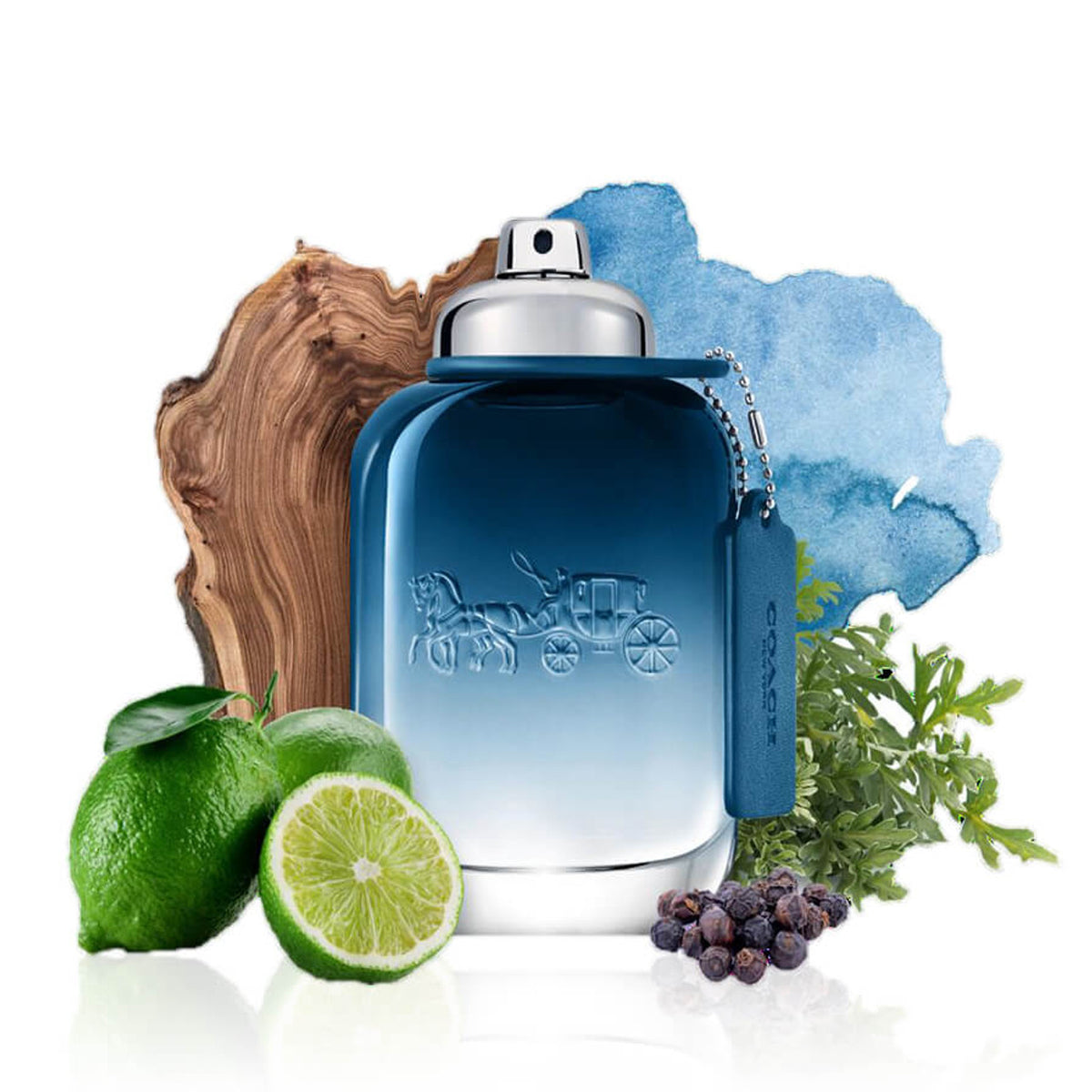 Shop Coach Blue EDT For Men in Australia