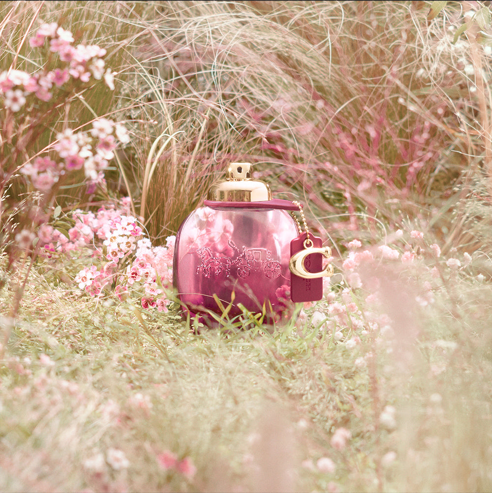 Shop Coach Wild Rose EDP 90ml | My Perfume Shop Australia