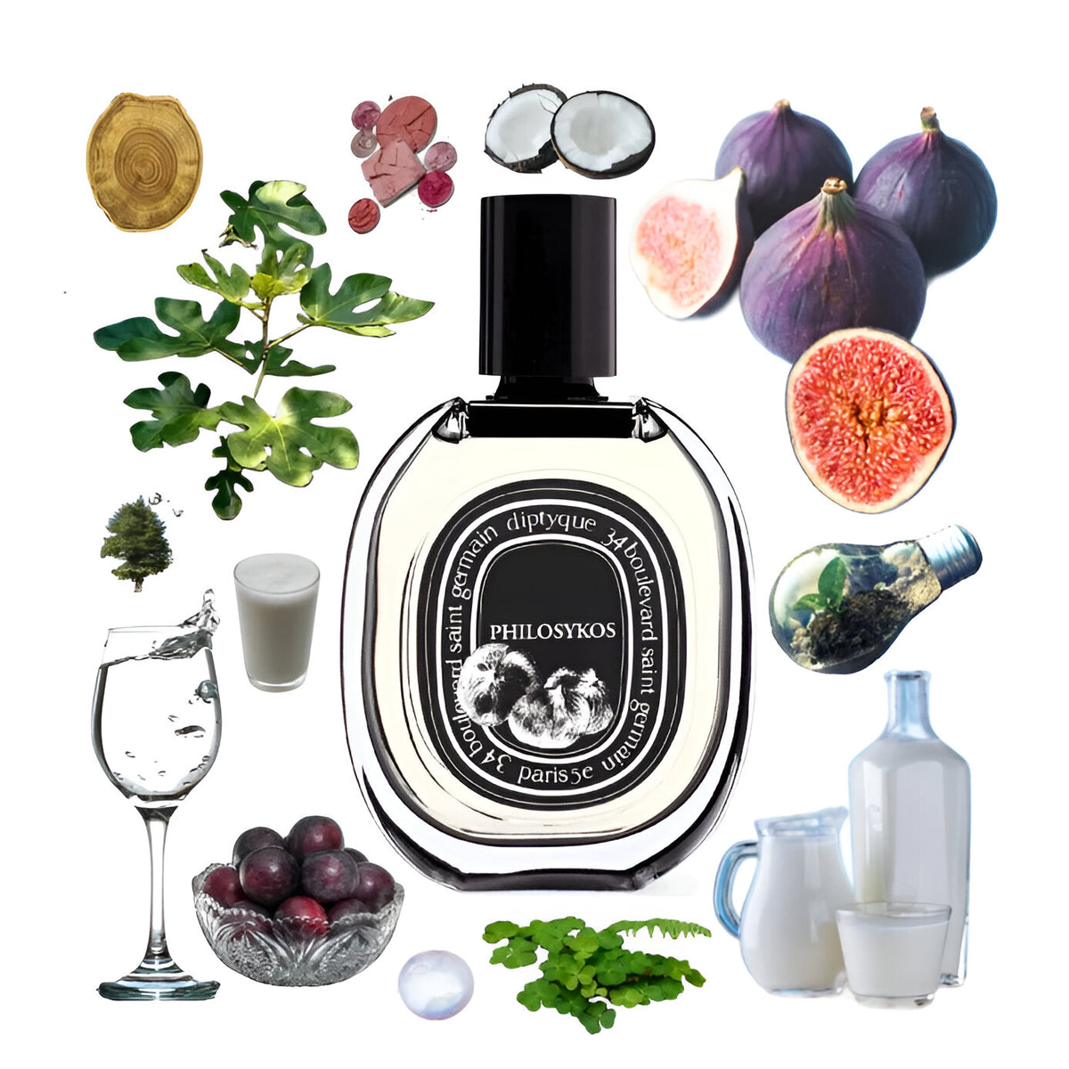 Shop Diptyque Philosykos EDP in Australia