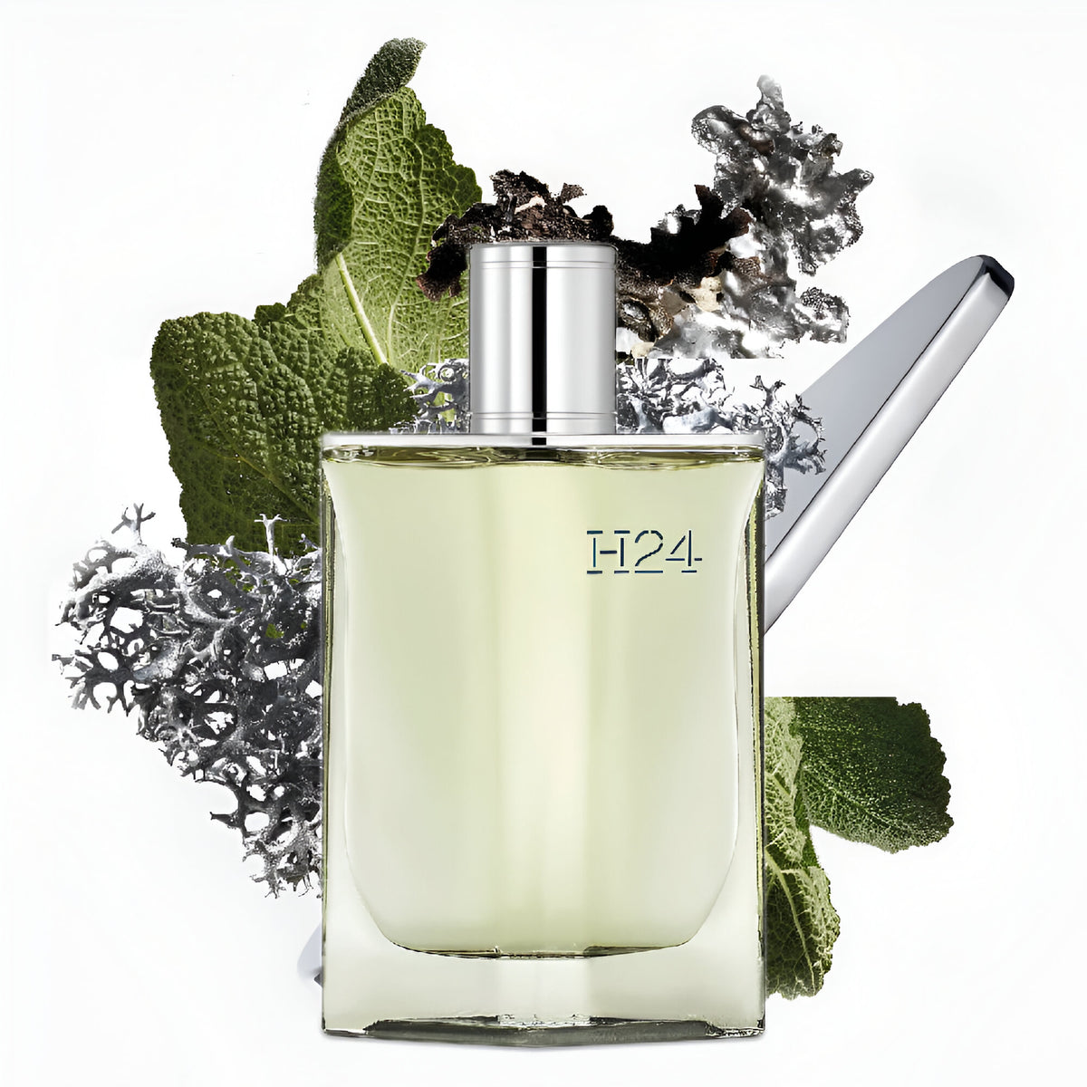 Shop Hermes H24 Deodorant Spray in Australia