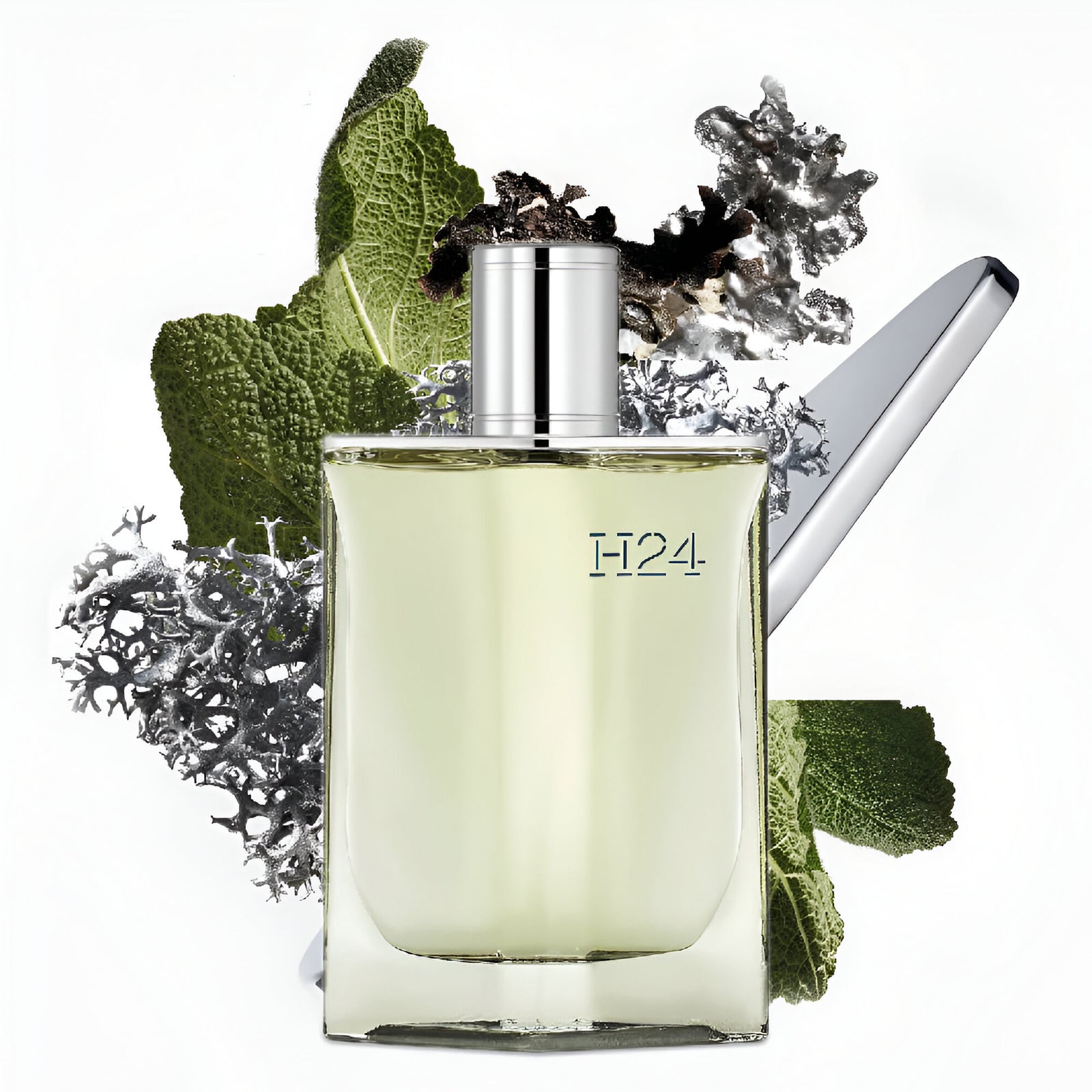 Shop Hermes H24 Deodorant Spray in Australia