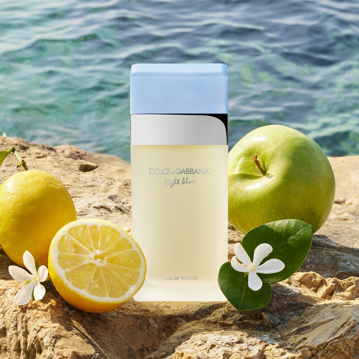 Shop Dolce & Gabbana Light Blue EDT For Her | My Perfume Shop Australia