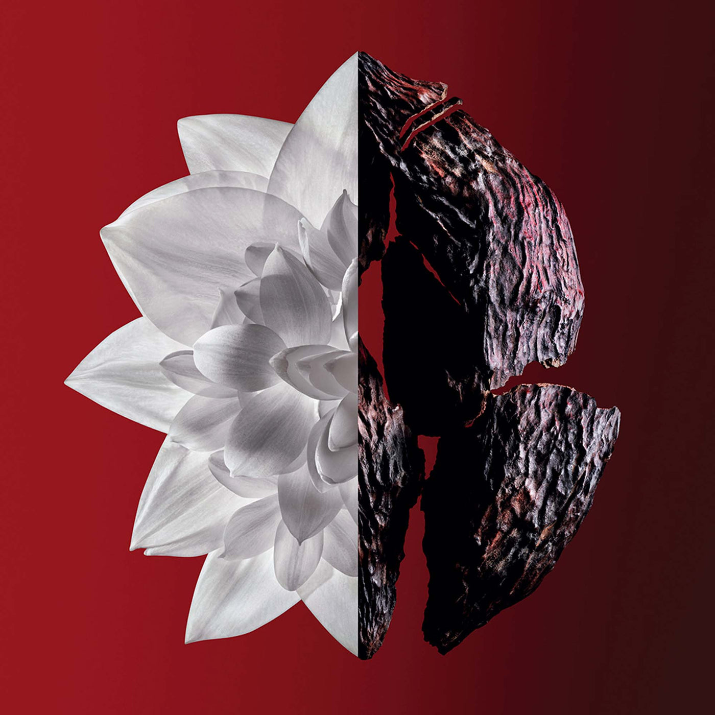 Shop Givenchy L’Interdit Rouge Ultime EDP in Australia