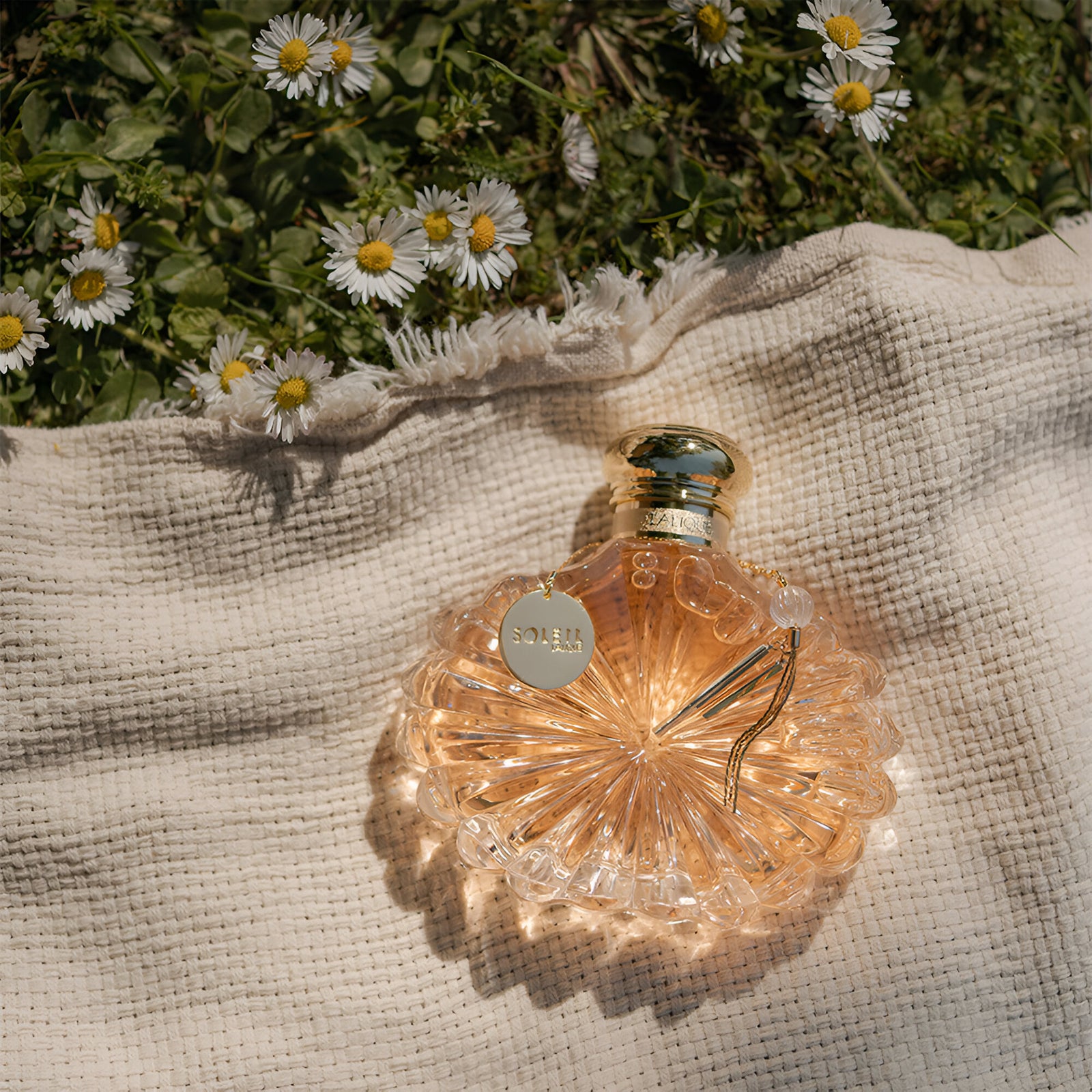 Shop Lalique Soleil EDP in Australia