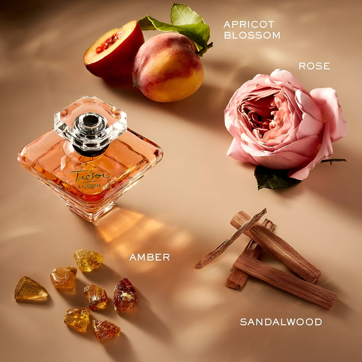 Shop Lancome Tresor EDP For Women 100ml | My Perfume Shop Australia