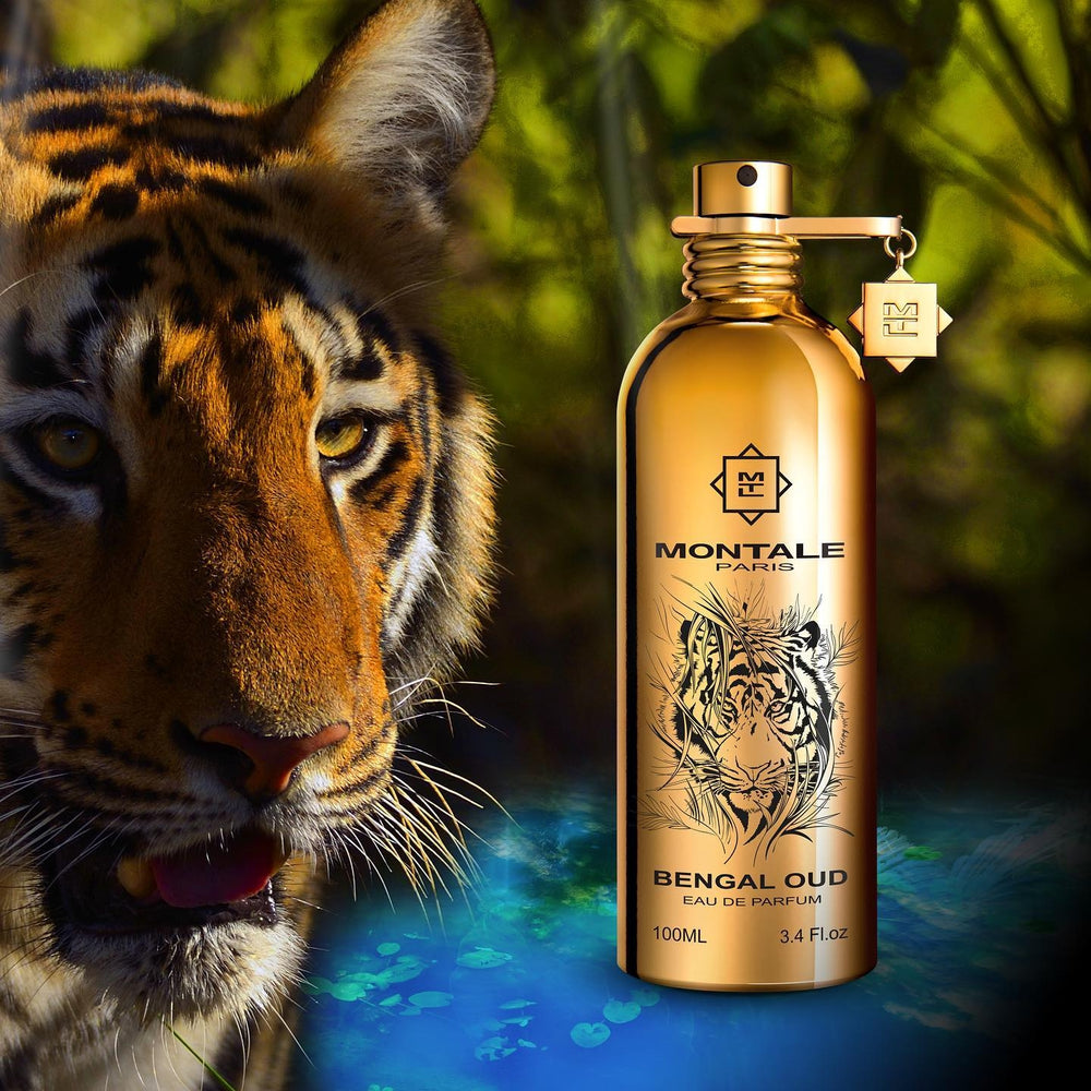 Shop Montale Bengal Oud EDP in Australia