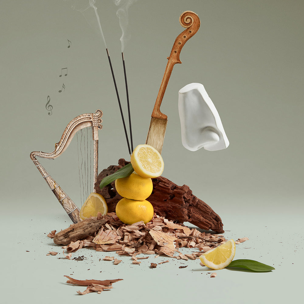 Shop Penhaligon's Opus 1870 EDT in Australia