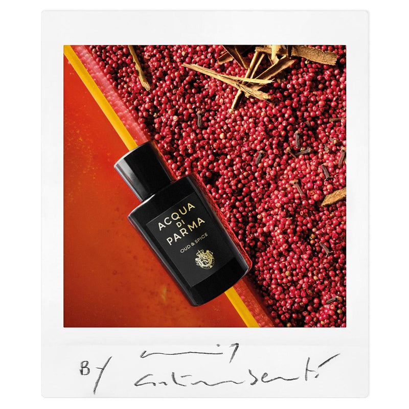 Shop Acqua di Parma Oud & Spice EDP in Australia