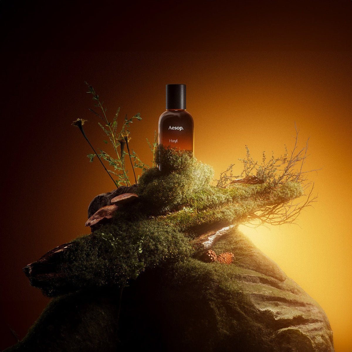 Shop Aesop Hwyl EDP in Australia