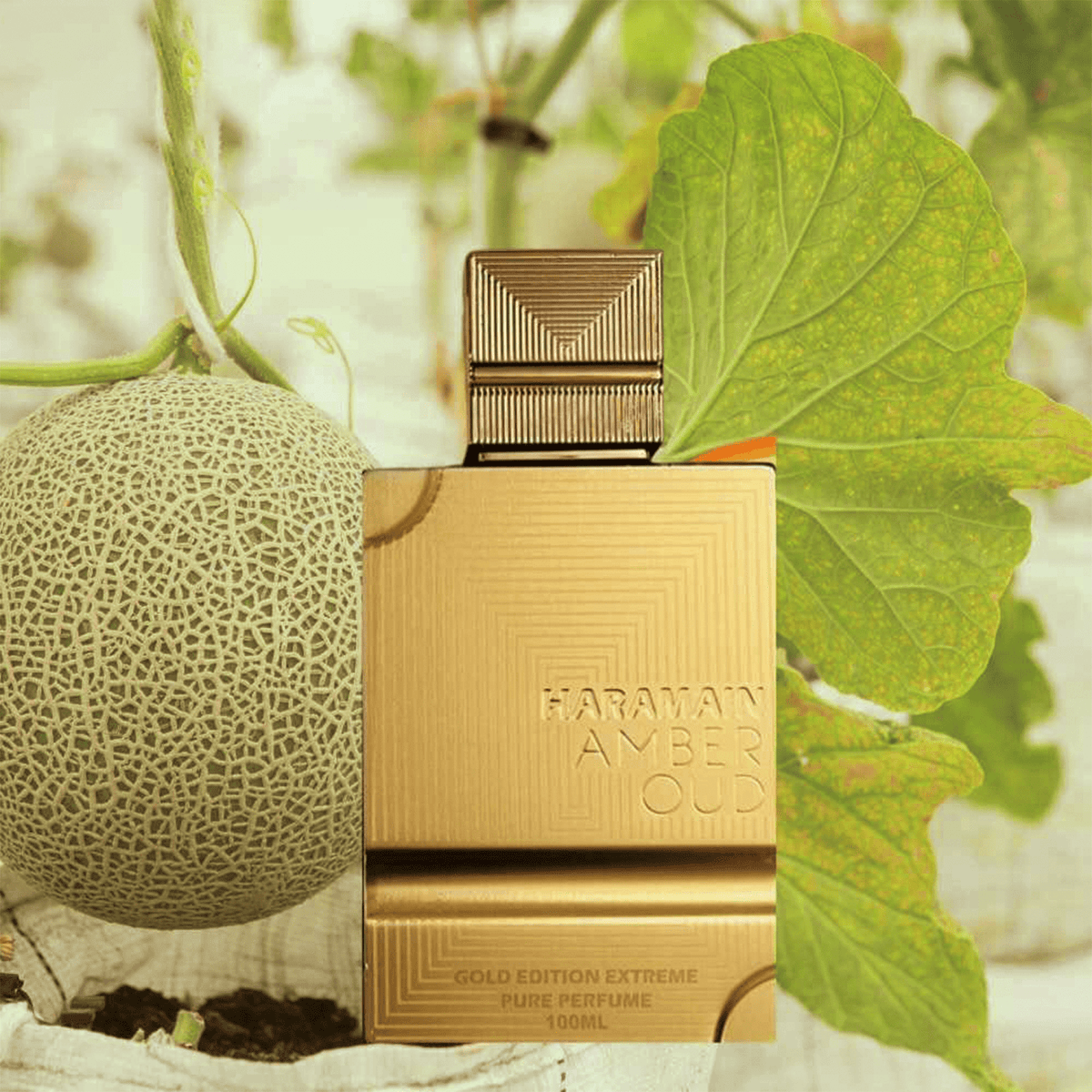Shop Al Haramain Amber Oud Extreme Gold Edition Extrait De Parfum in ...