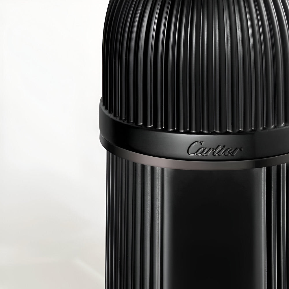 Shop Cartier Pasha De Cartier Noir Absolu Parfum 100ml | My Perfume ...