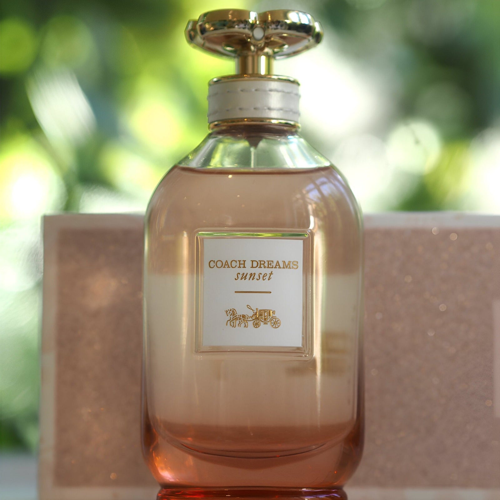 Shop Coach Dreams Sunset Body Lotion in Australia