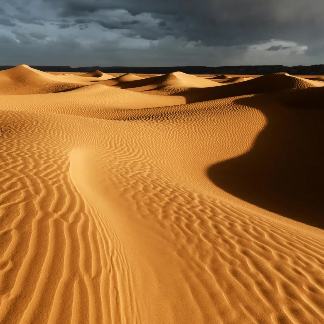 Shop Dolce & Gabbana Velvet Desert Oud EDP