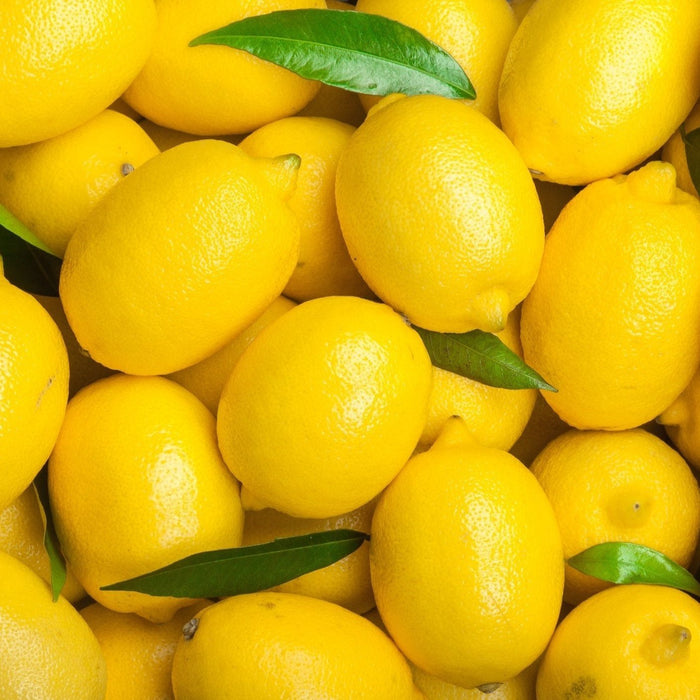 Shop Creed Pure White Cologne EDP in Australia