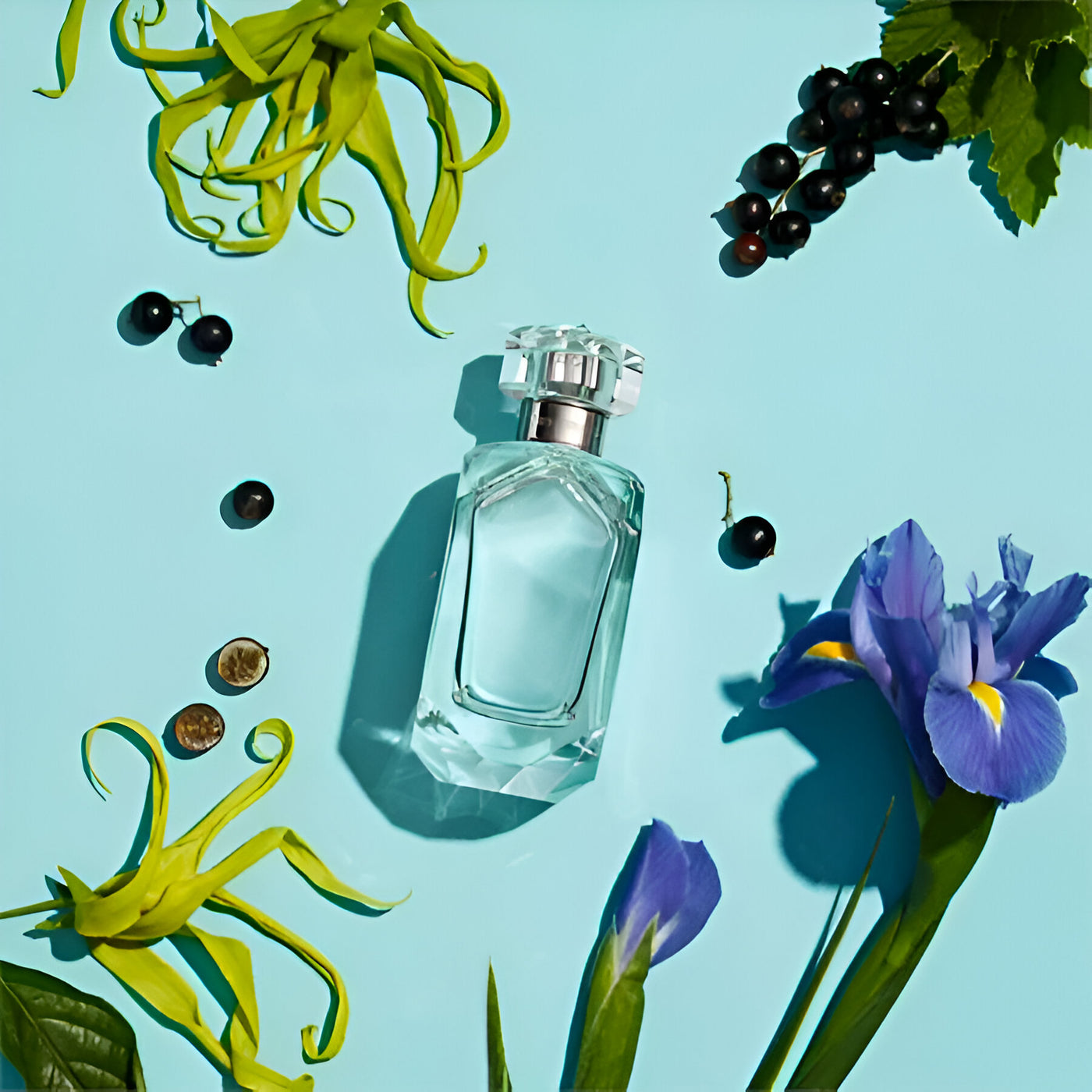 Shop Tiffany & Co. Sheer EDT 30ml, 50ml & 75ml | My Perfume Shop Australia