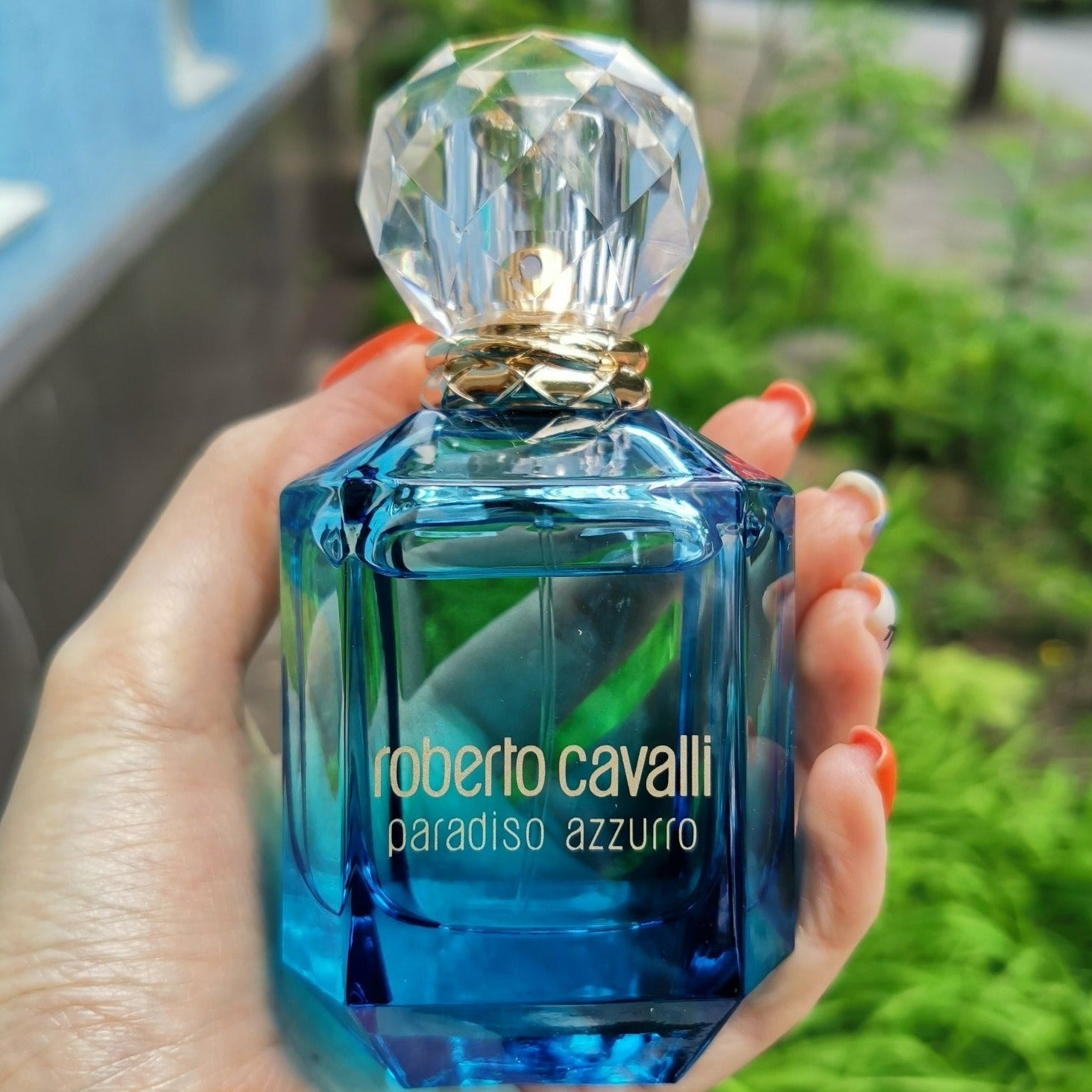 Shop Roberto Cavalli Paradiso Azzurro EDP