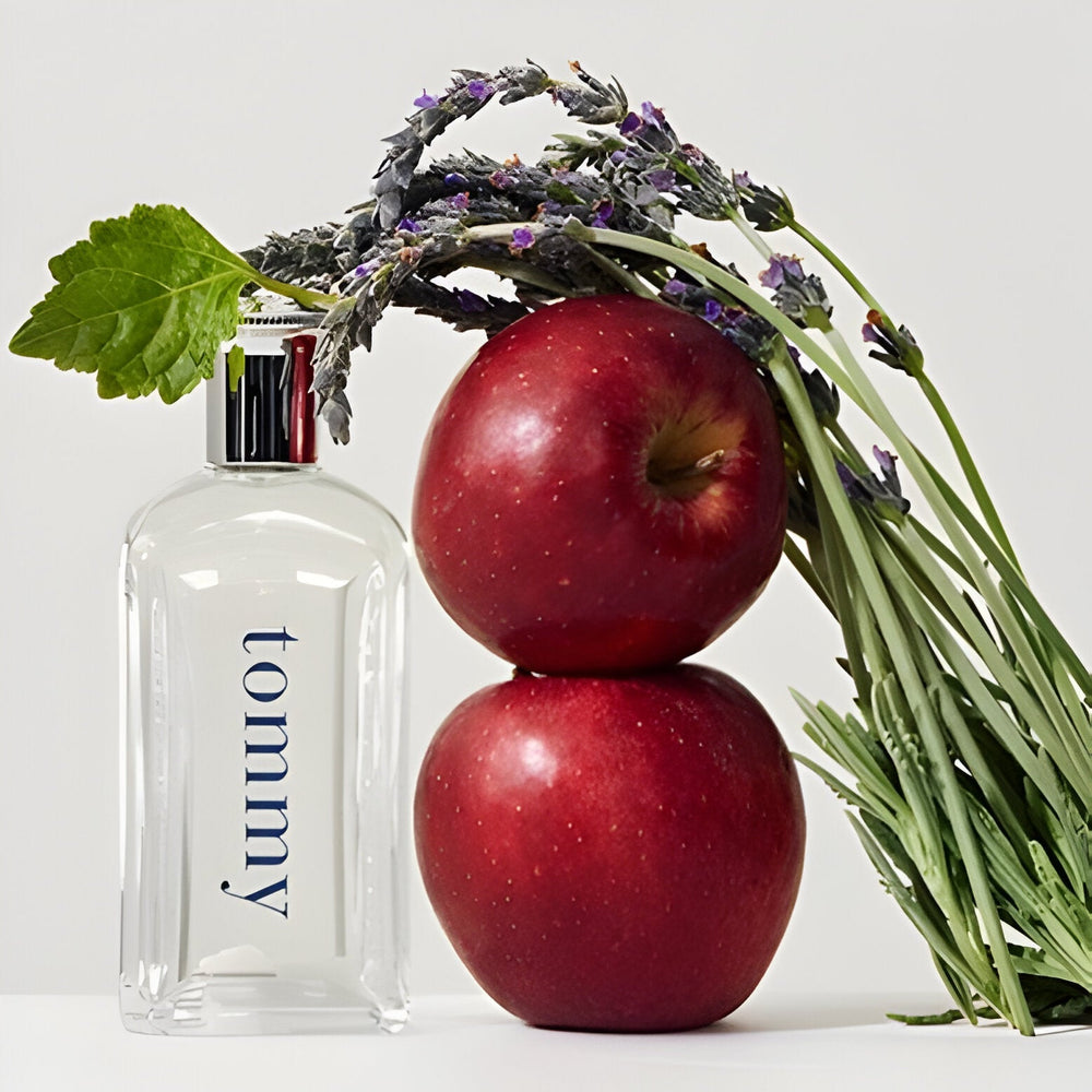 Shop Tommy Hilfiger Tommy EDT For Men in Australia