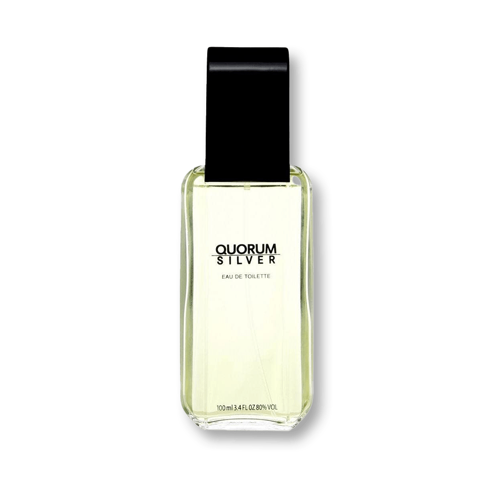 Shop Antonio Puig Quorum Silver EDT For Men 100ml | My Perfume Shop ...