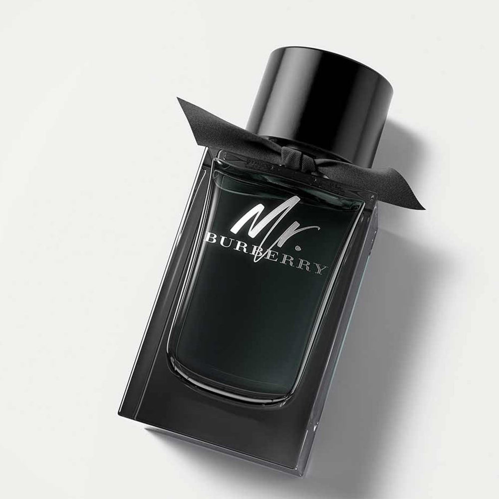 Shop Burberry Mr. Burberry EDT in Australia