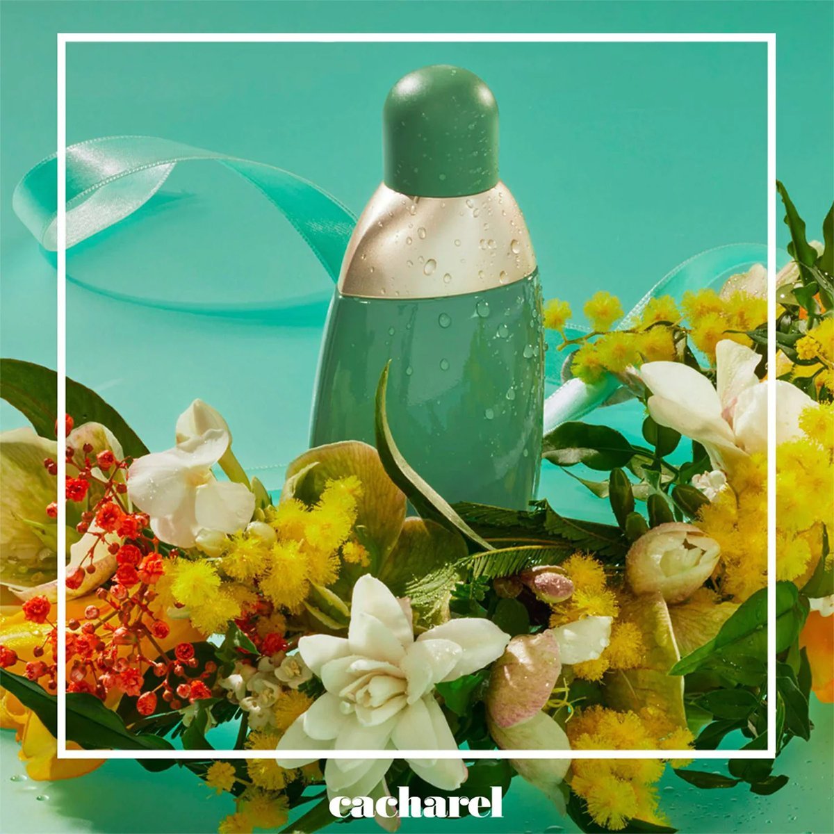 Shop Cacharel Eden EDP