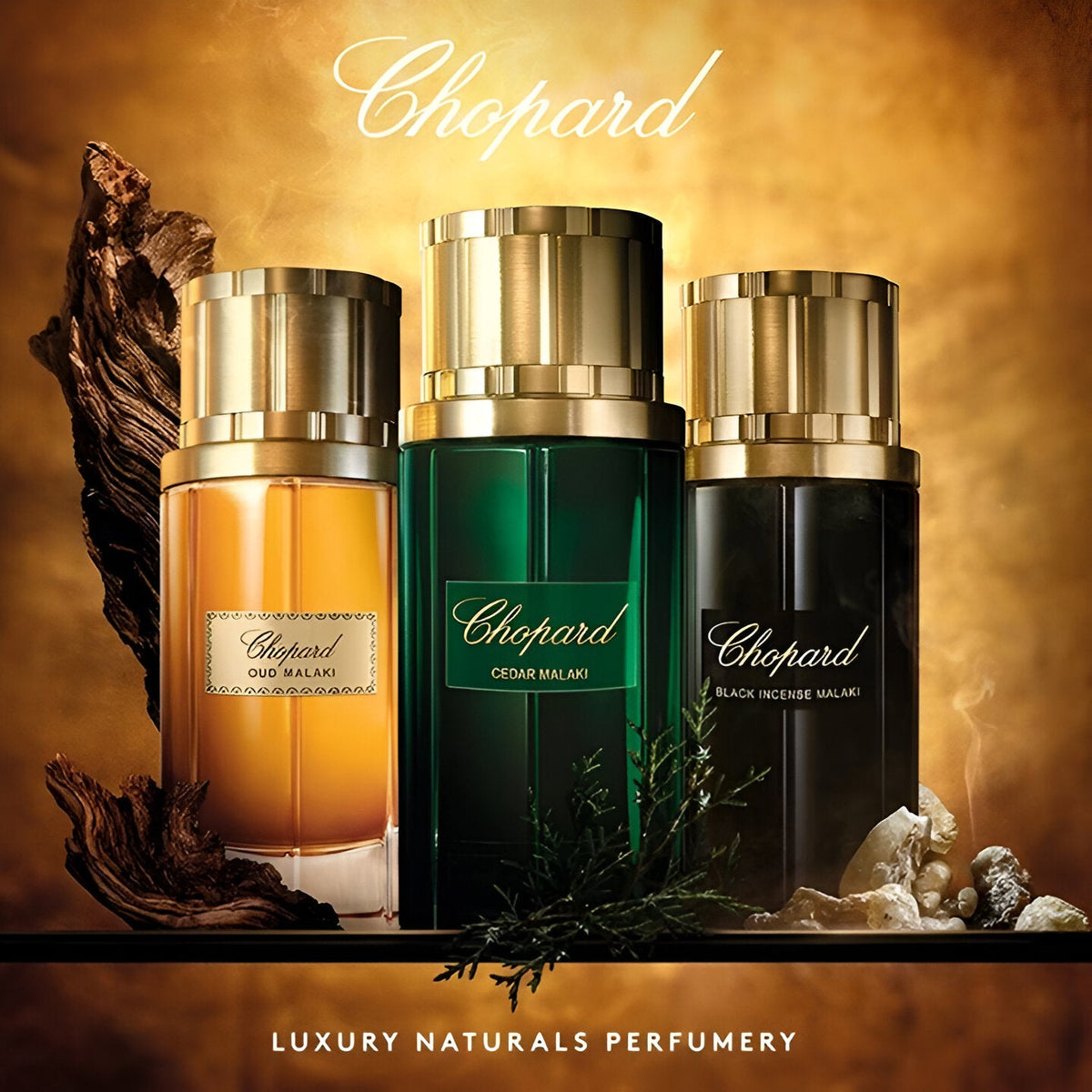 Shop Chopard Black Incense Malaki EDP in Australia