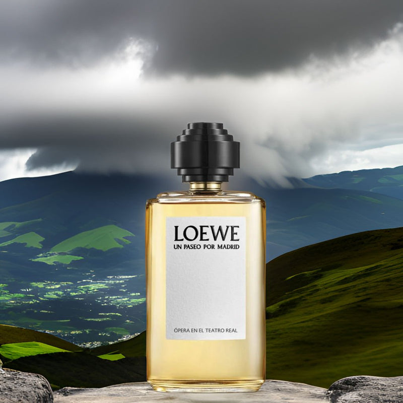 Shop Loewe Opera En El Teatro Real EDP in Australia