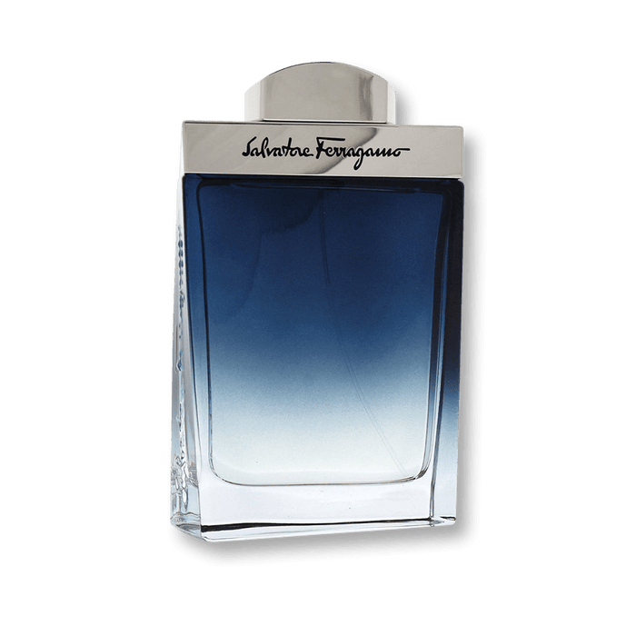 Shop Salvatore Ferragamo Subtil Pour Homme EDT in Australia